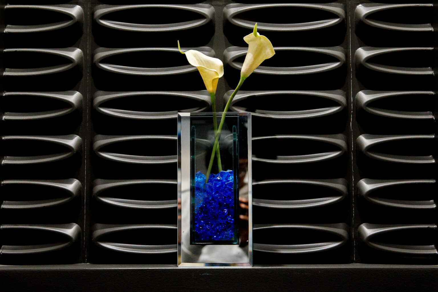 Our Facility | Blue Sky Dental Group | Jacksonville, FL